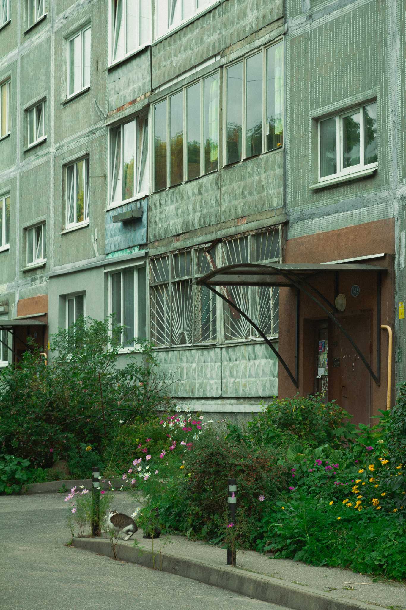 Home | Harry's Code and Bugs